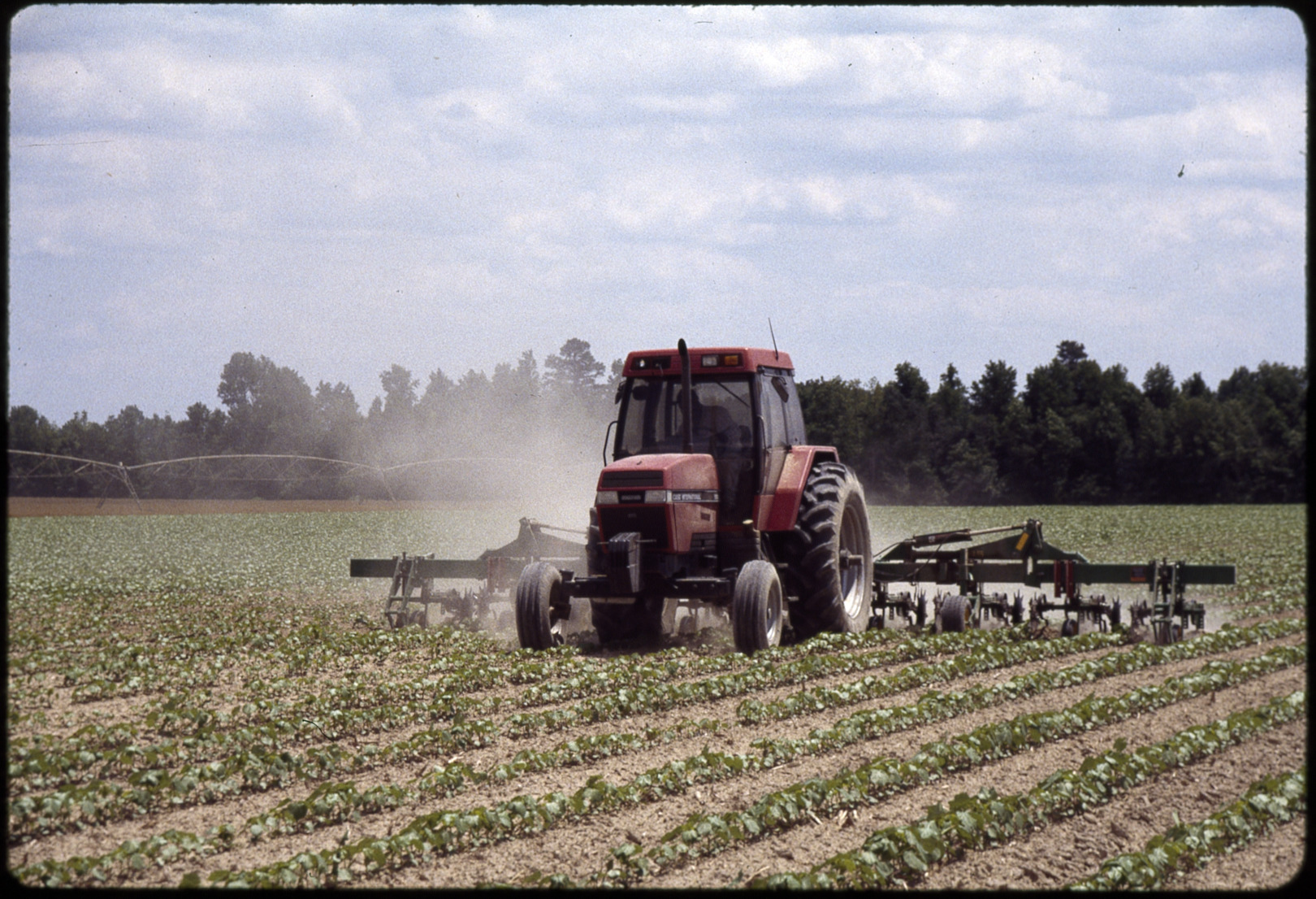Coolmore-Powell House and Coolmore Plantation