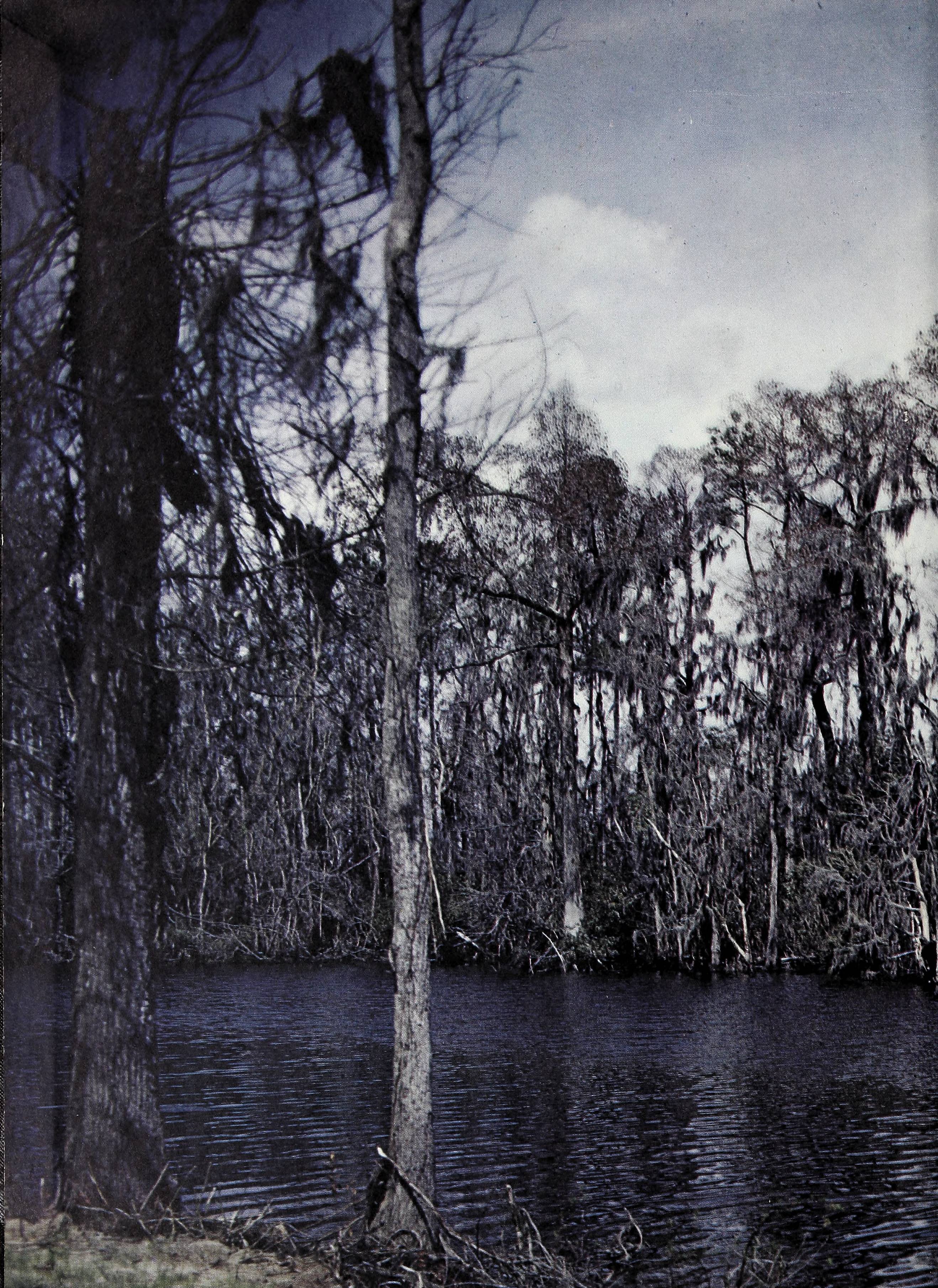 Wescomb [1966]