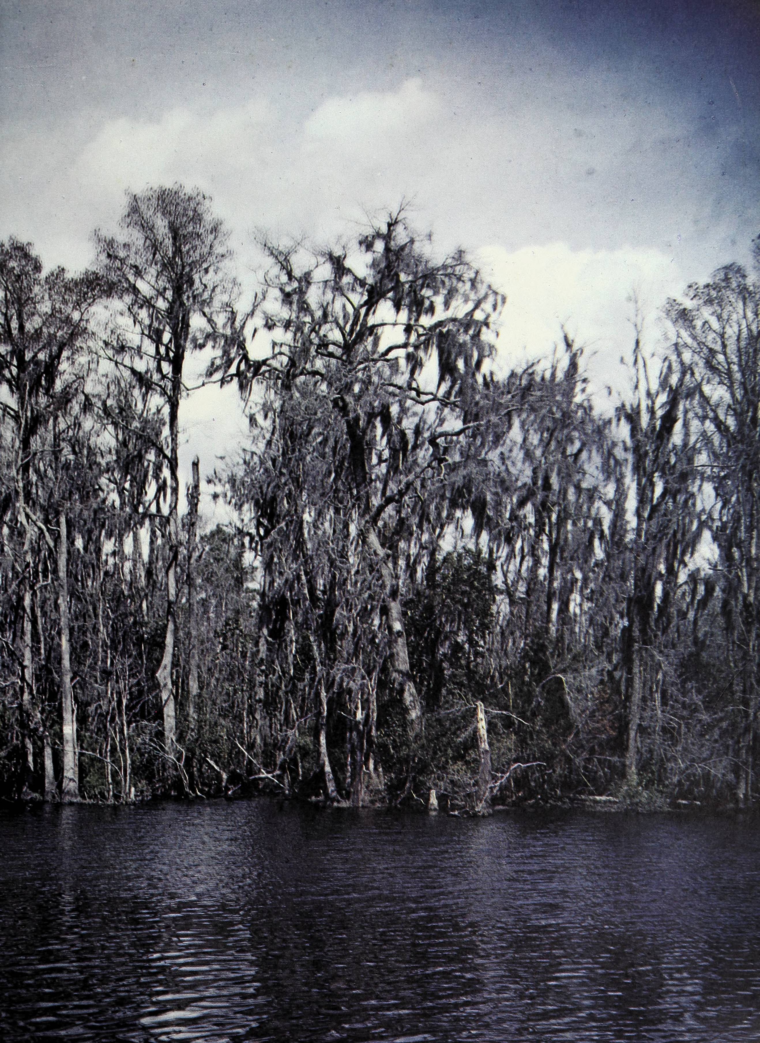 Wescomb [1966]
