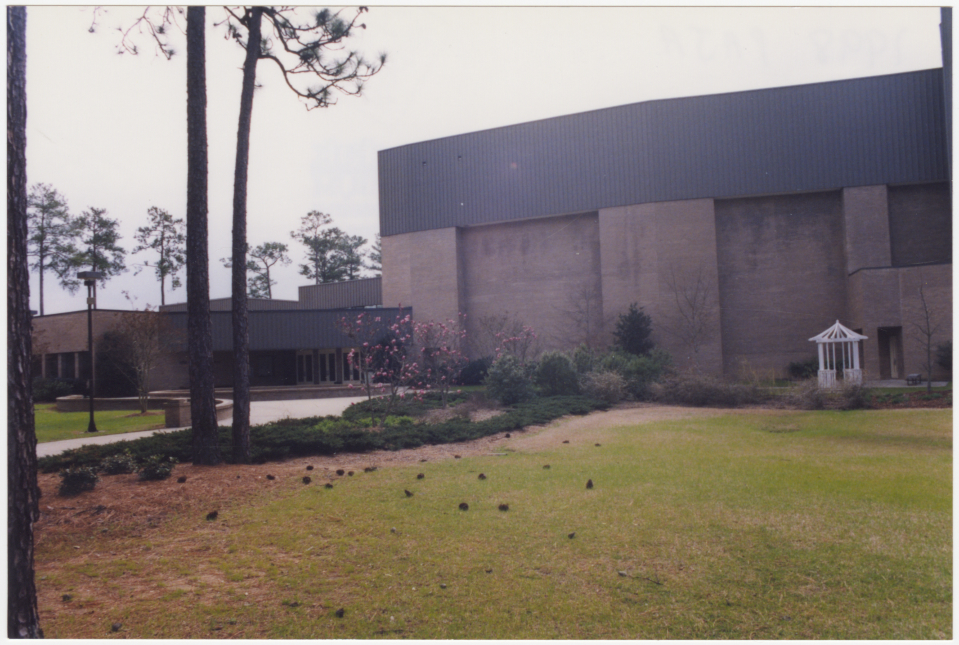 Tart Building [1998]