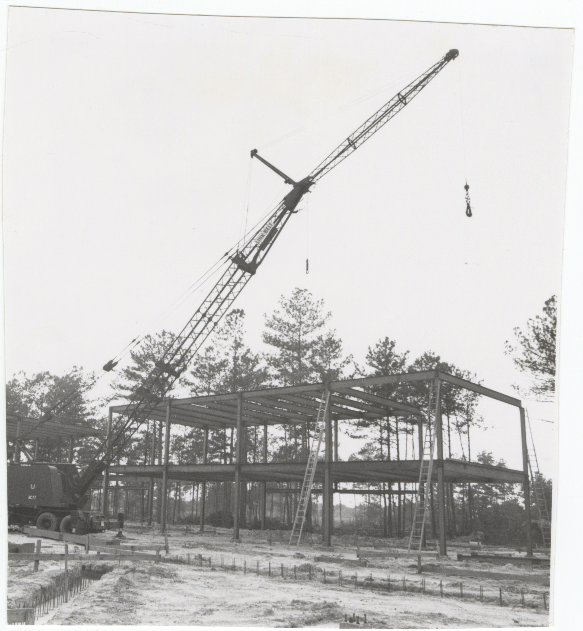 Wilson Building [1983]