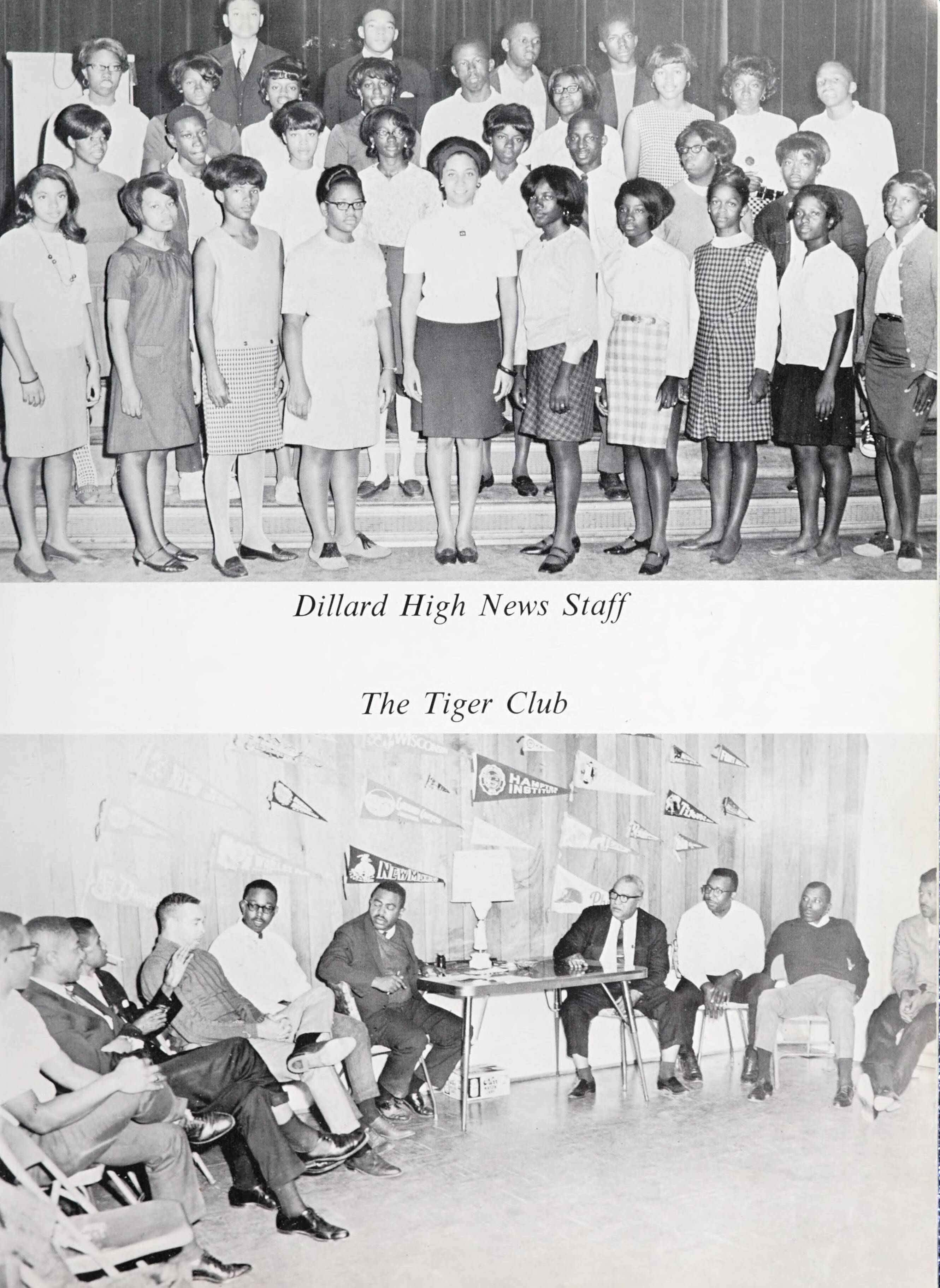 Dillardite [1968]