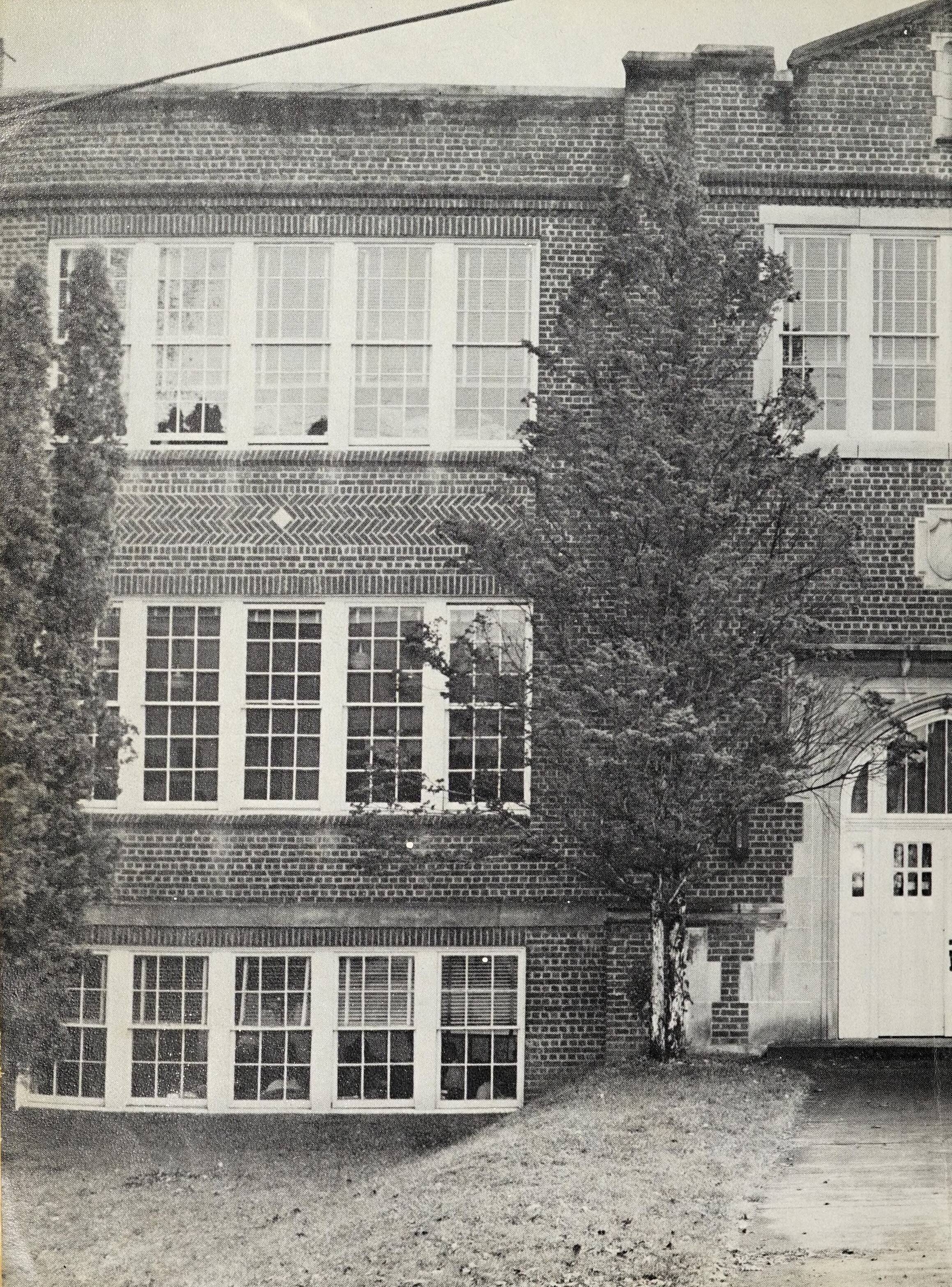 The Ridge Runner [1966]