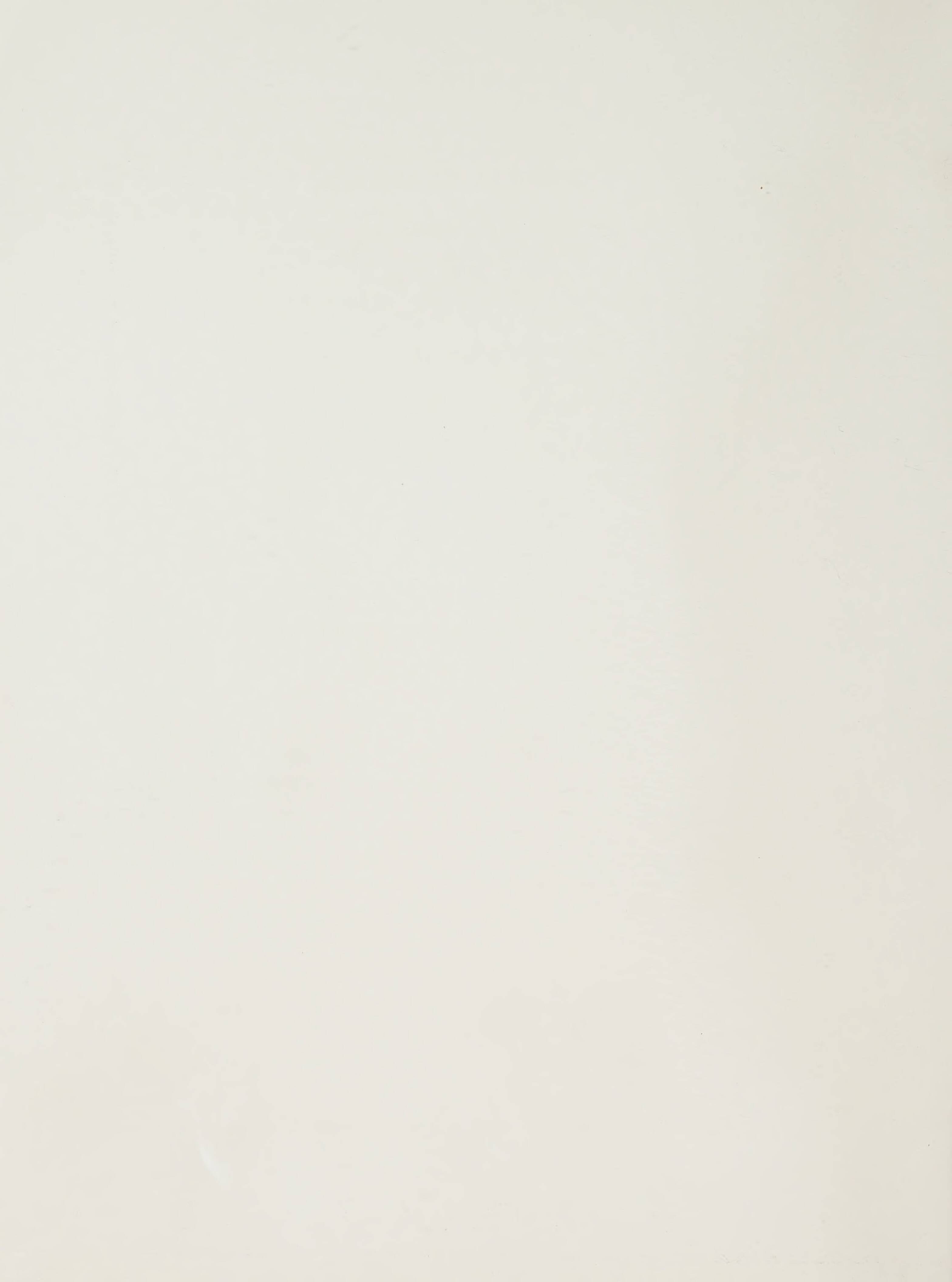 Pamlico Technical College General Catalog [1984-1985]