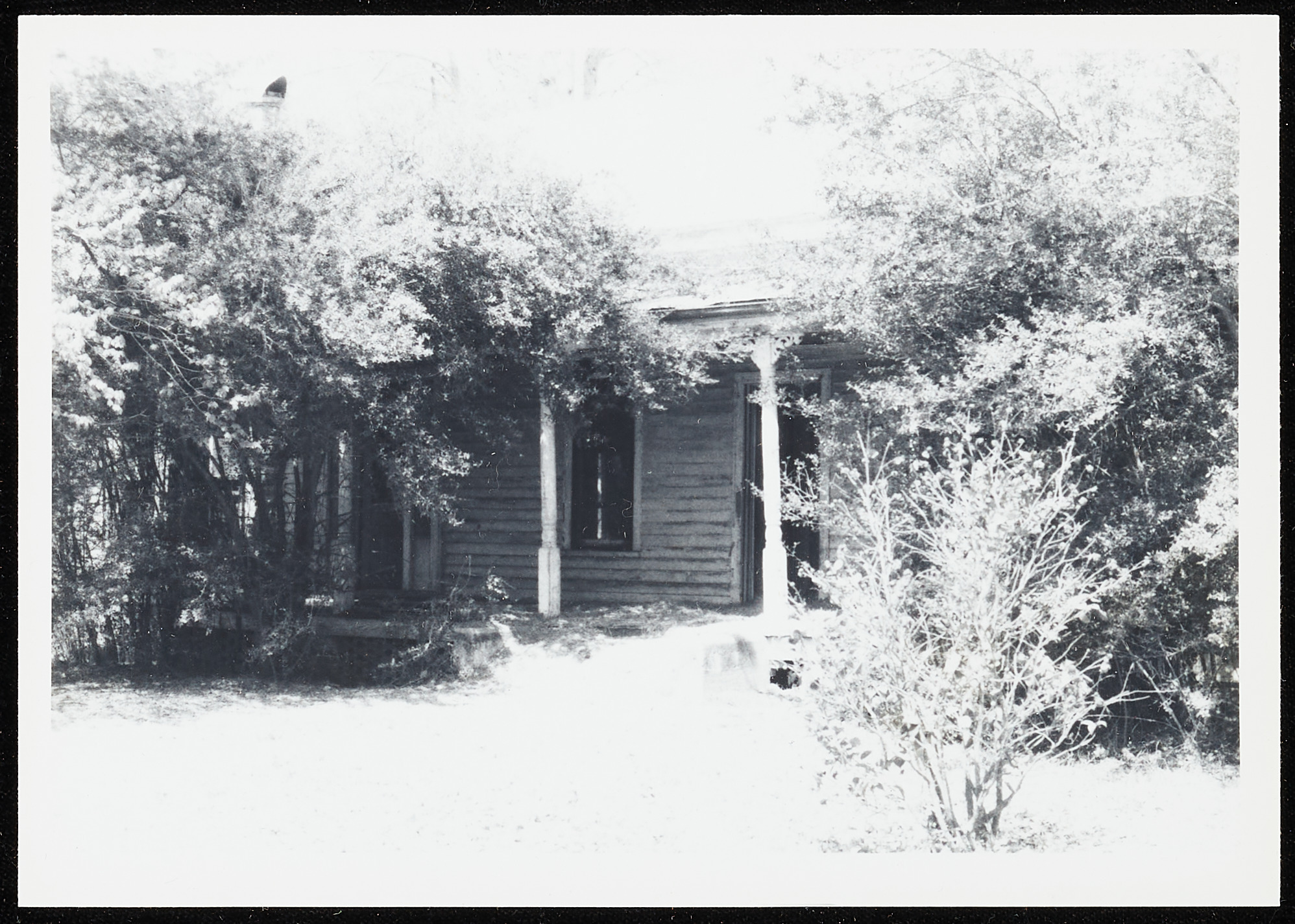 Houses of Maple Swamp