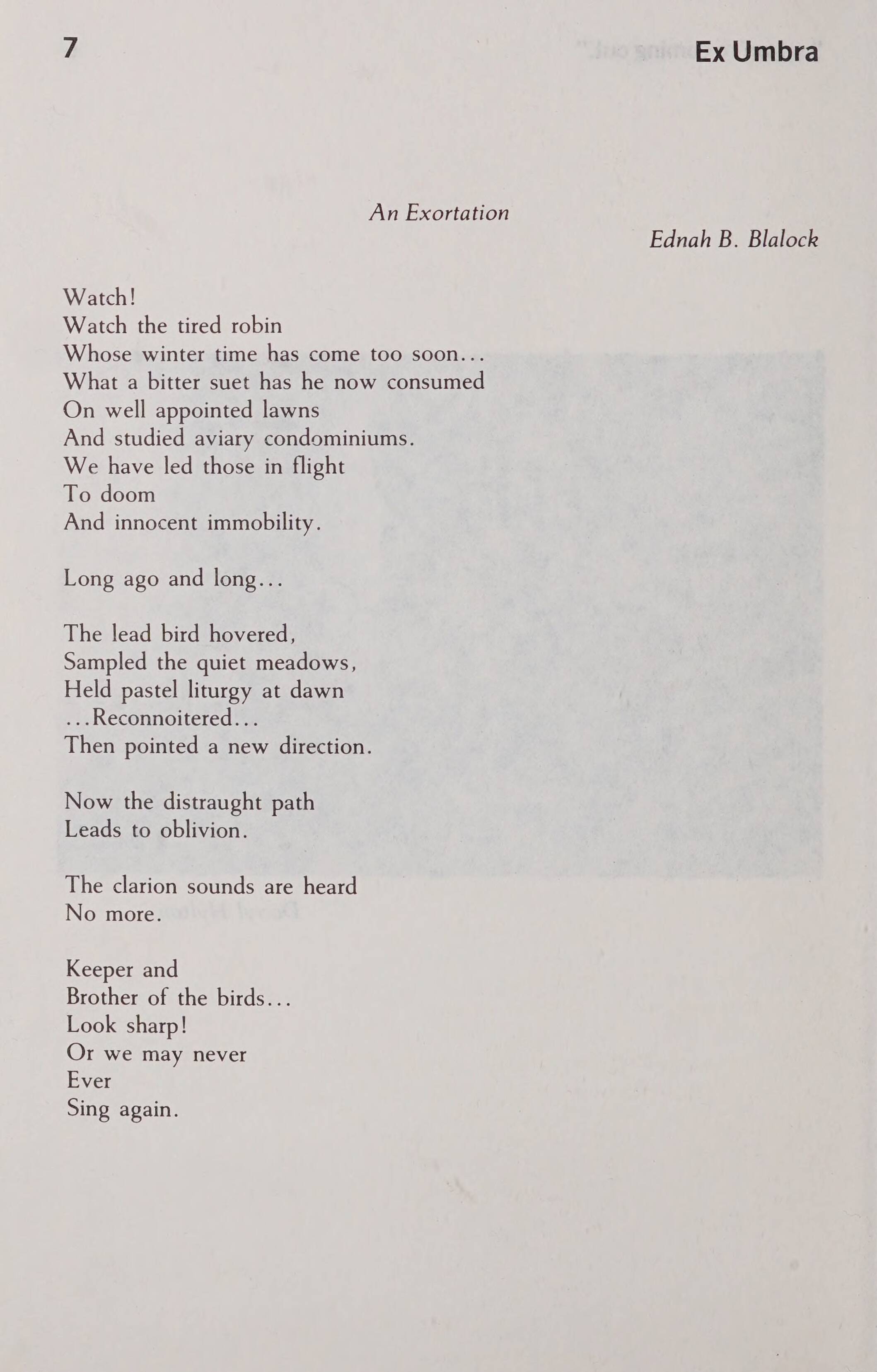 Ex Umbra: We're Coming Out [December 1980]