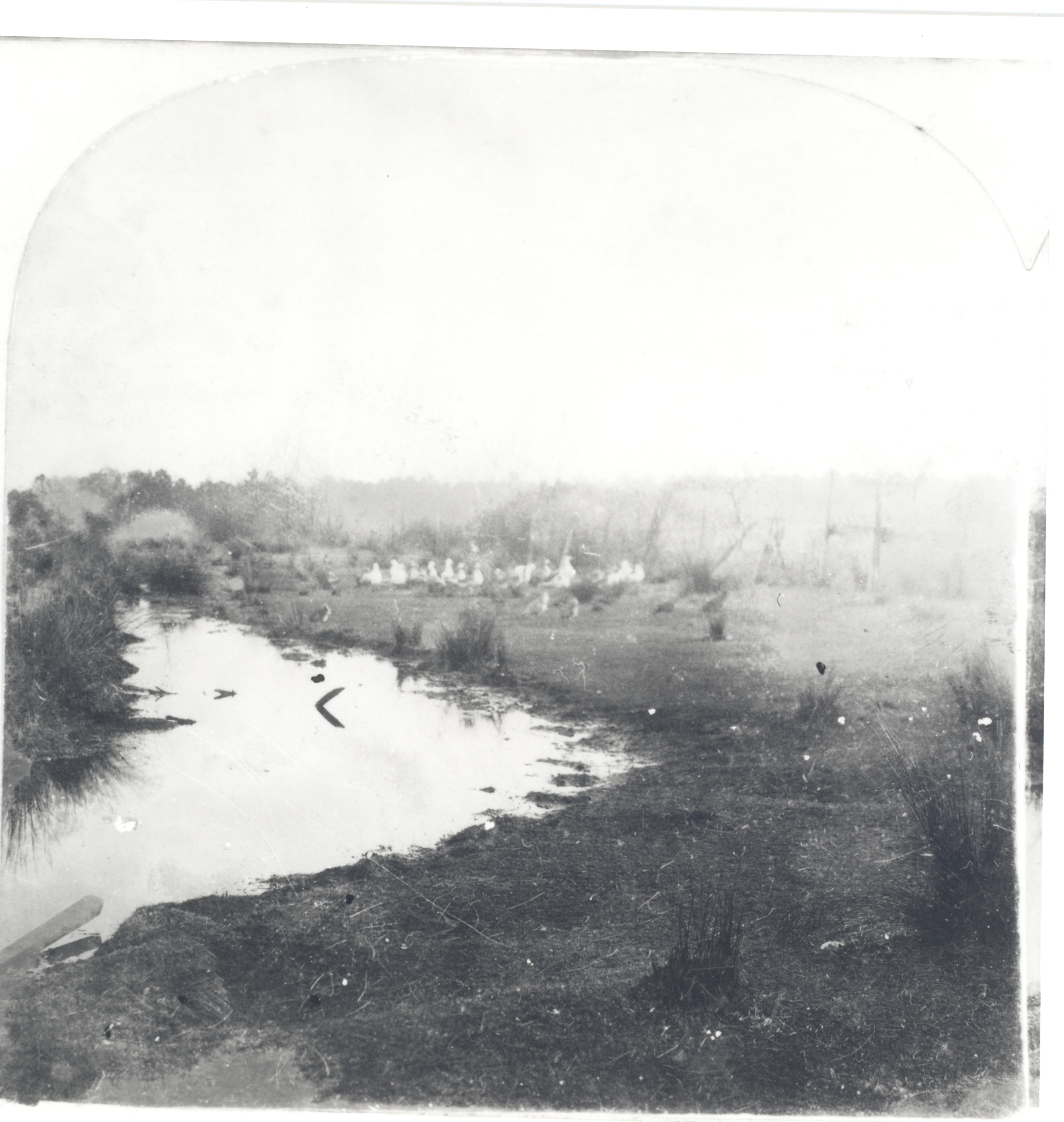 Goose Pasture near Sparta Bridge