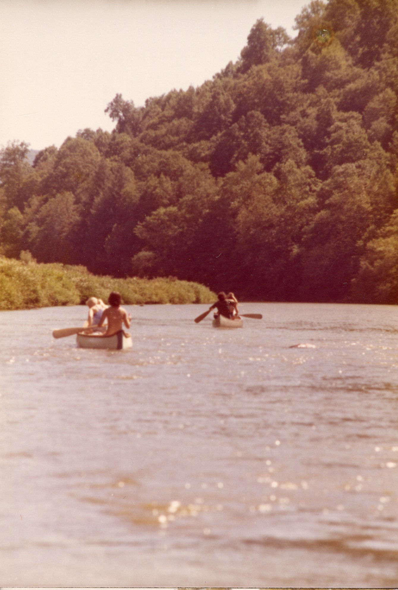 Boy Scout and Girl Scout New River Explorer Trip [1978]
