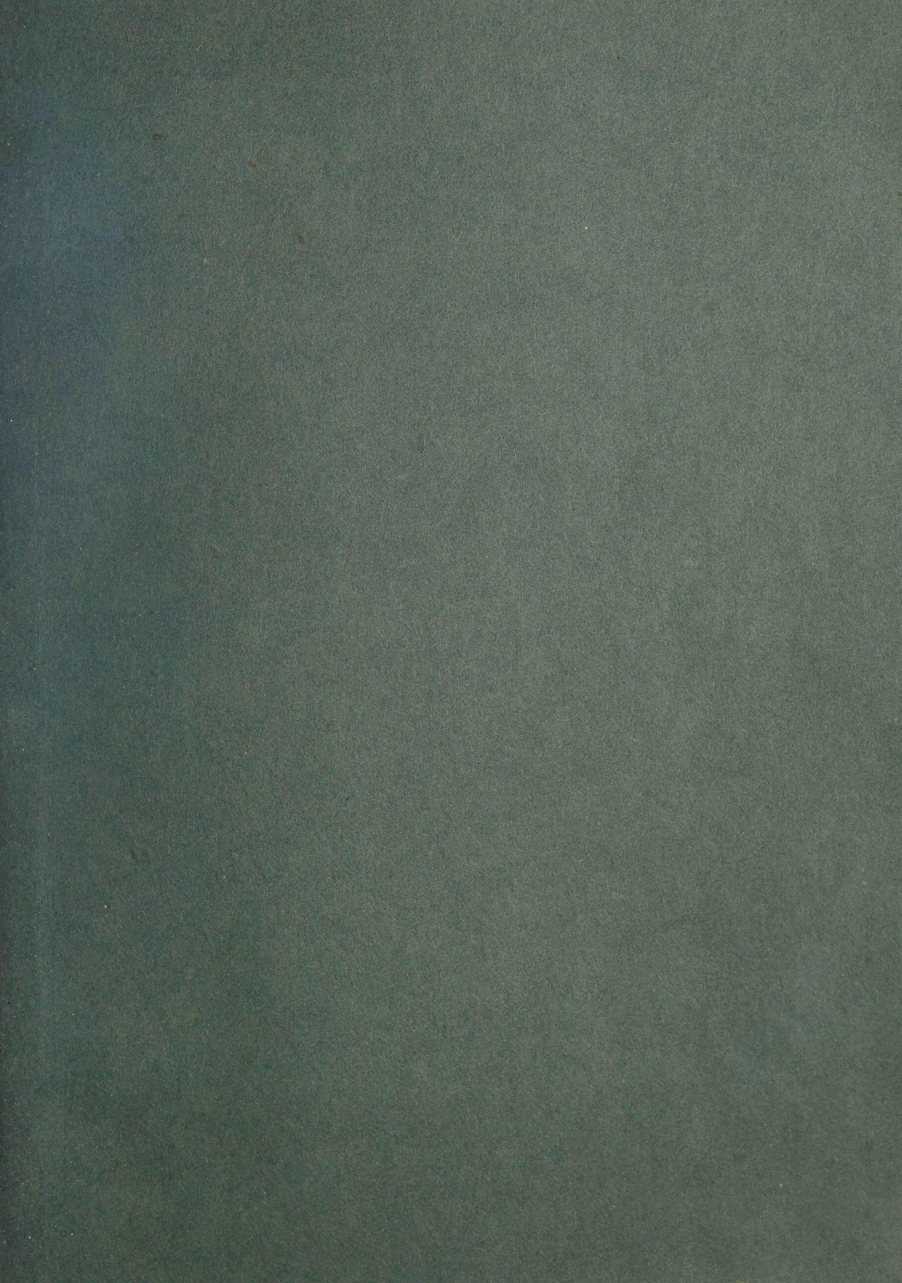 The Rocket [1924]