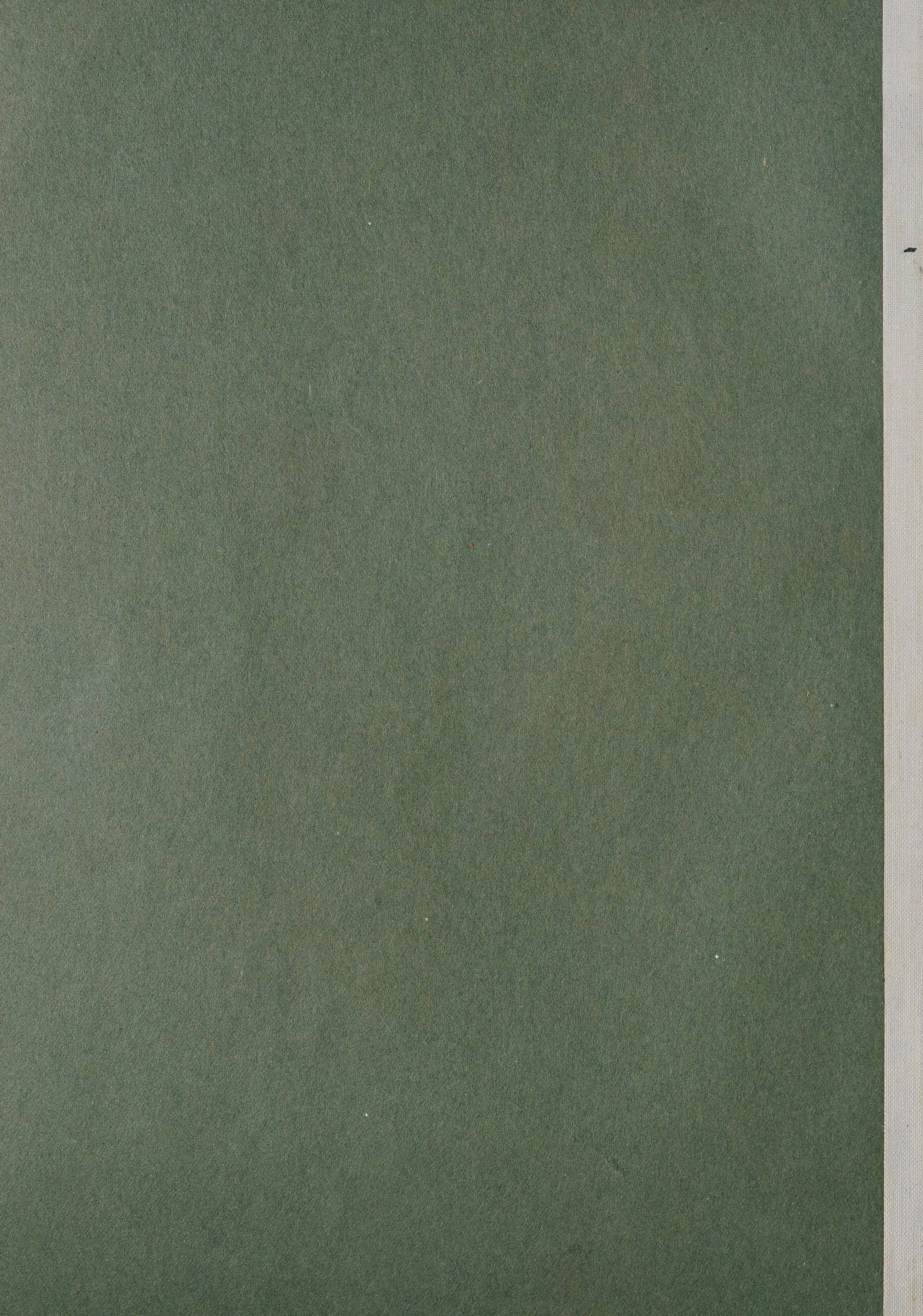 The Rocket [1924]