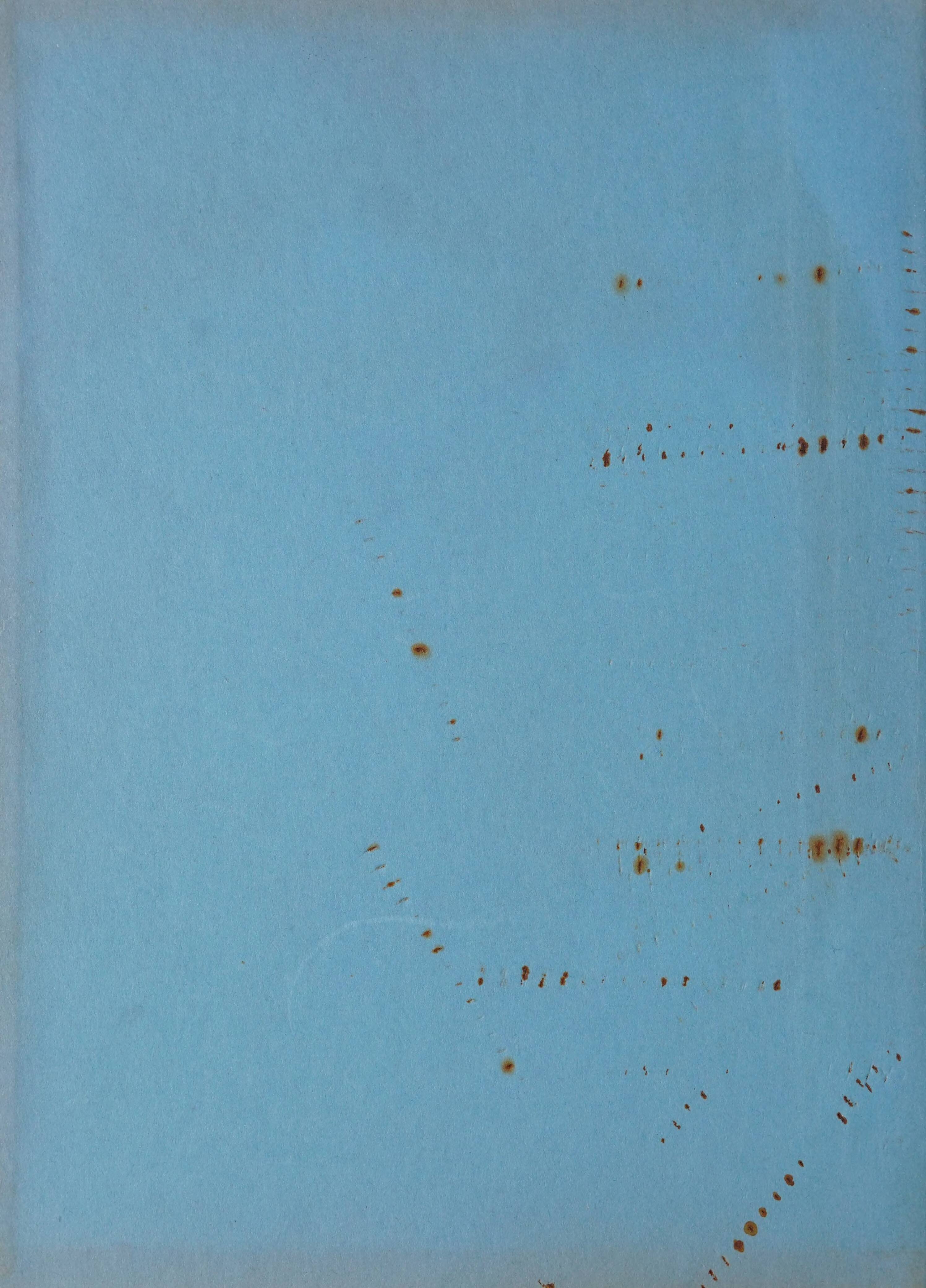 The Rendezvous [1954]