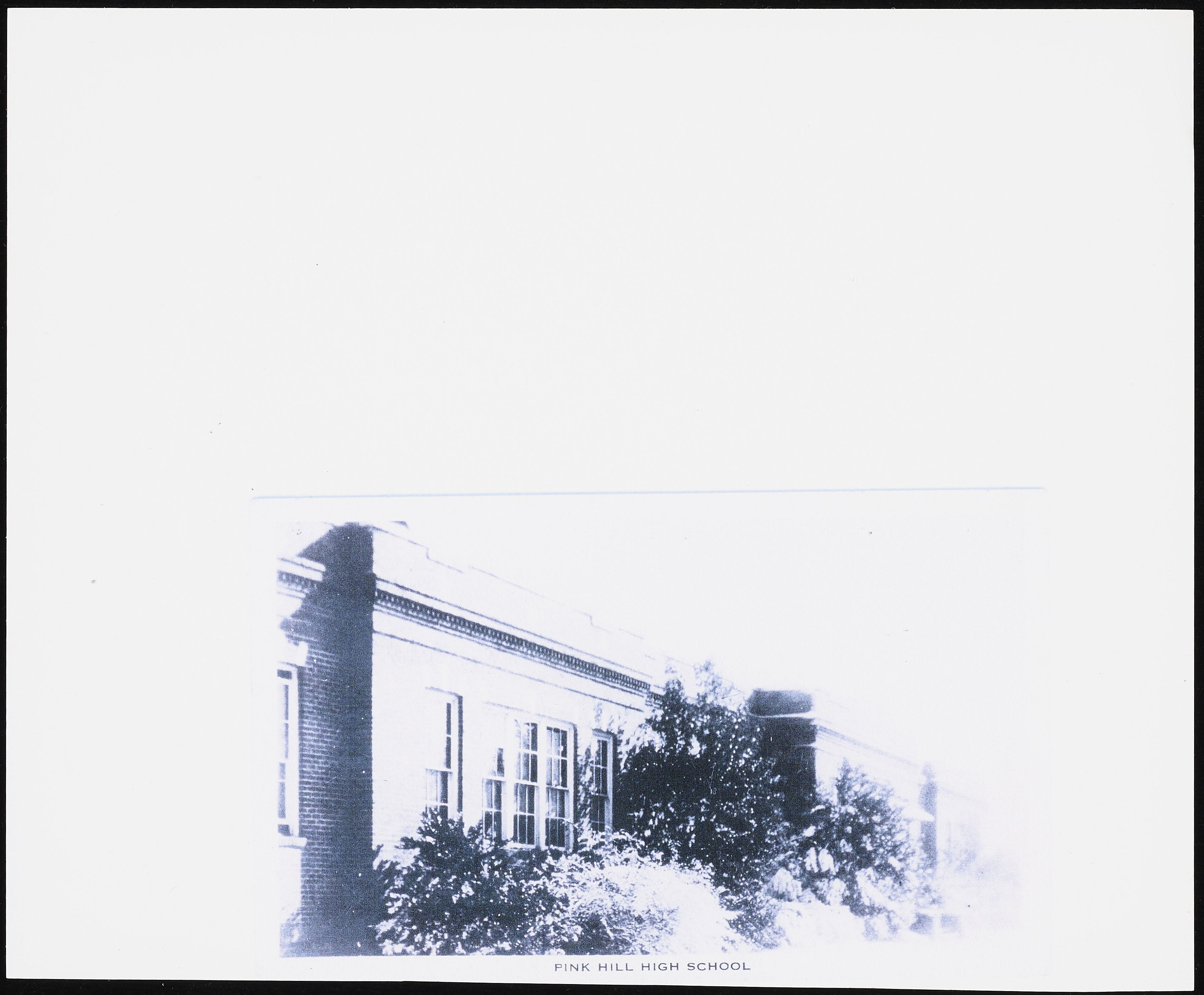 Pink Hill School