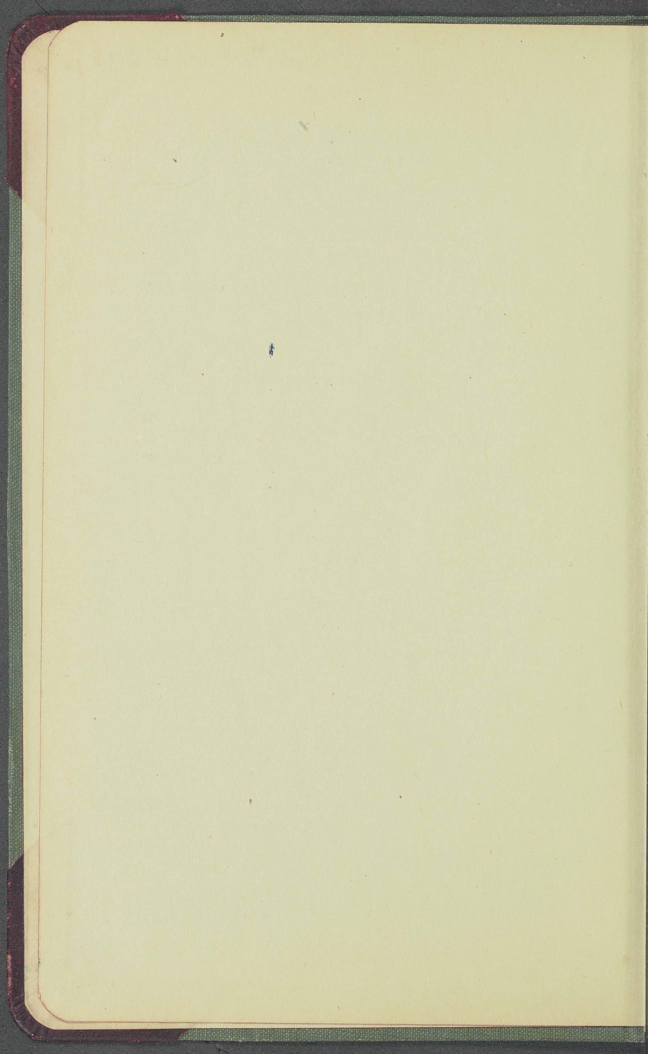 Mary Kelly Watson Smith Diary January 1917 to May 1917