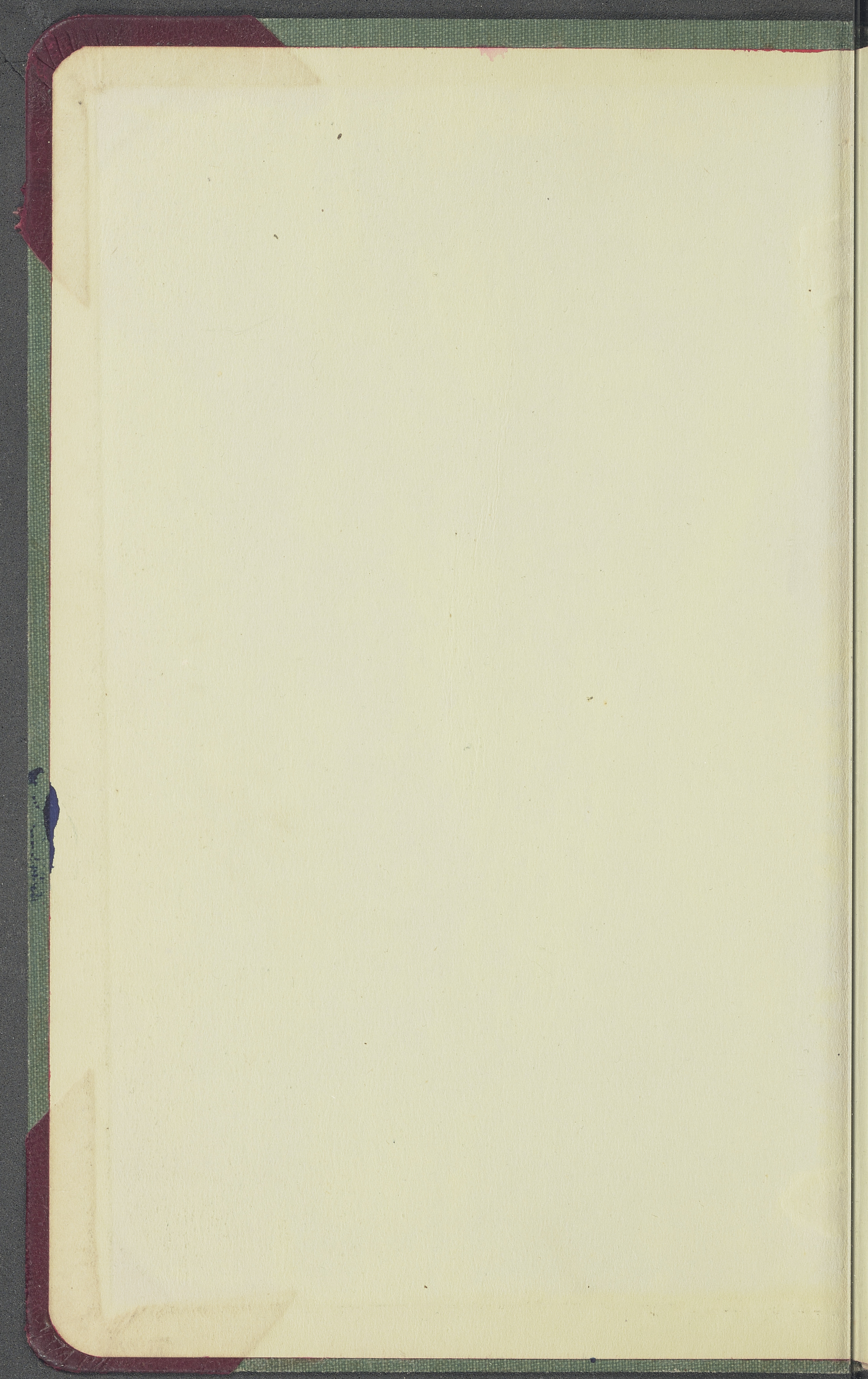 Mary Kelly Watson Smith Diary May 1917 to October 1916