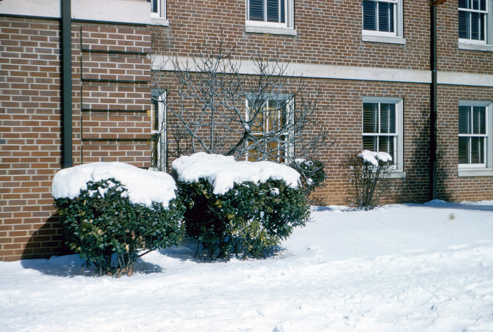Winter Scenes, Winston-Salem State University