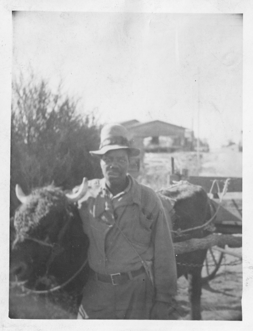 Joel Cameron of Olivia, NC