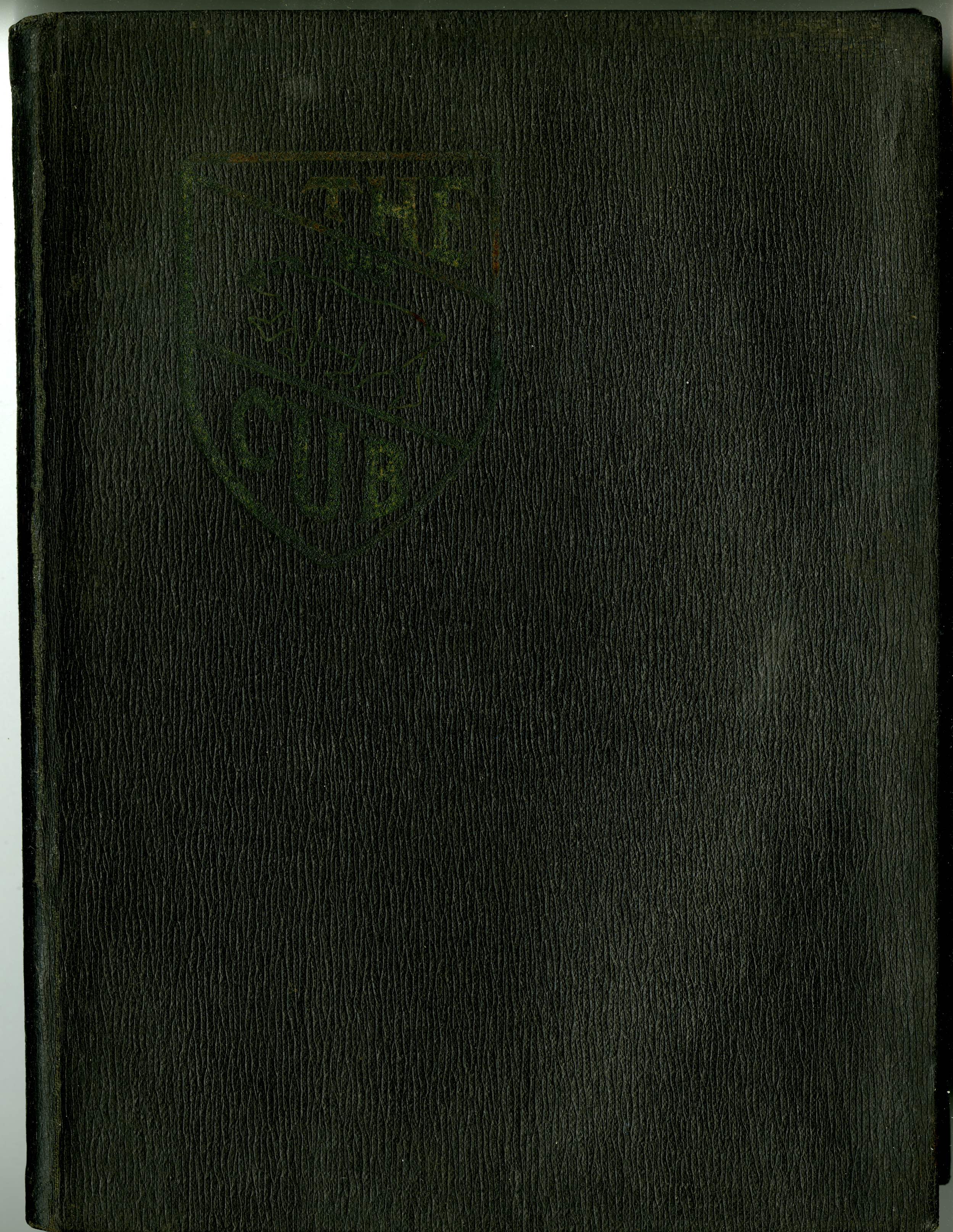The Cub [1922]