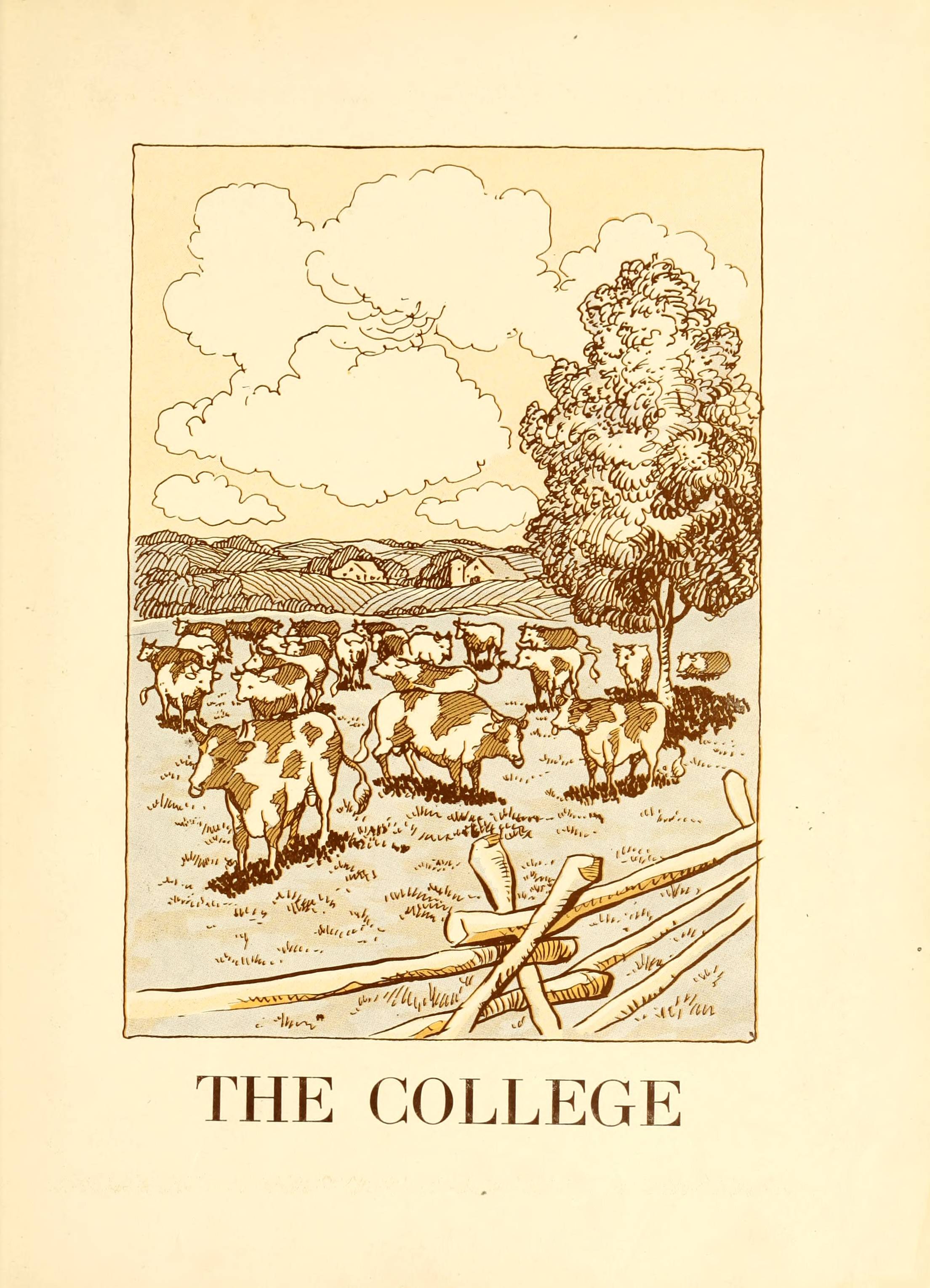 The Golden Bull [1929]