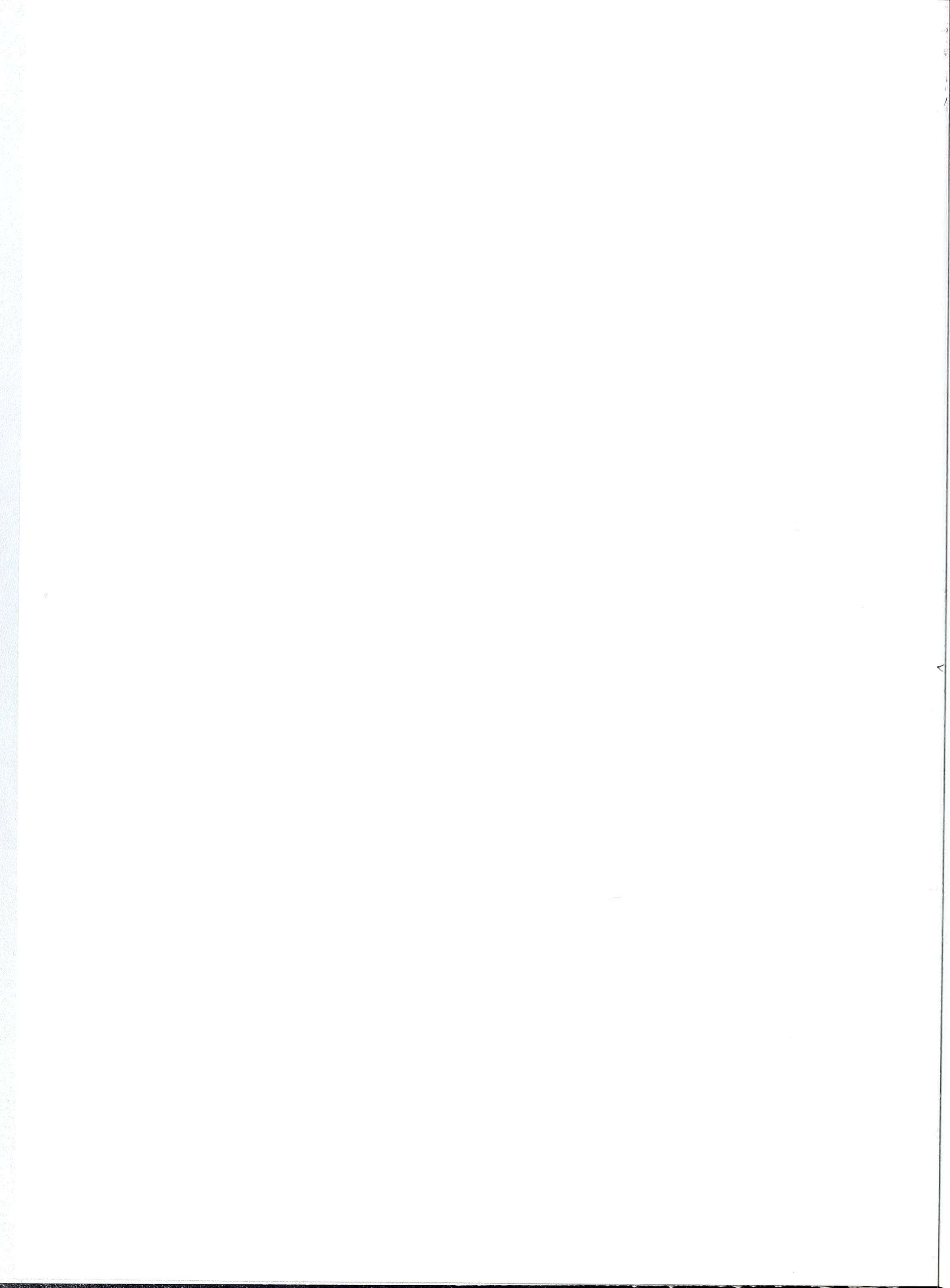 The Falcon [2001-2002]