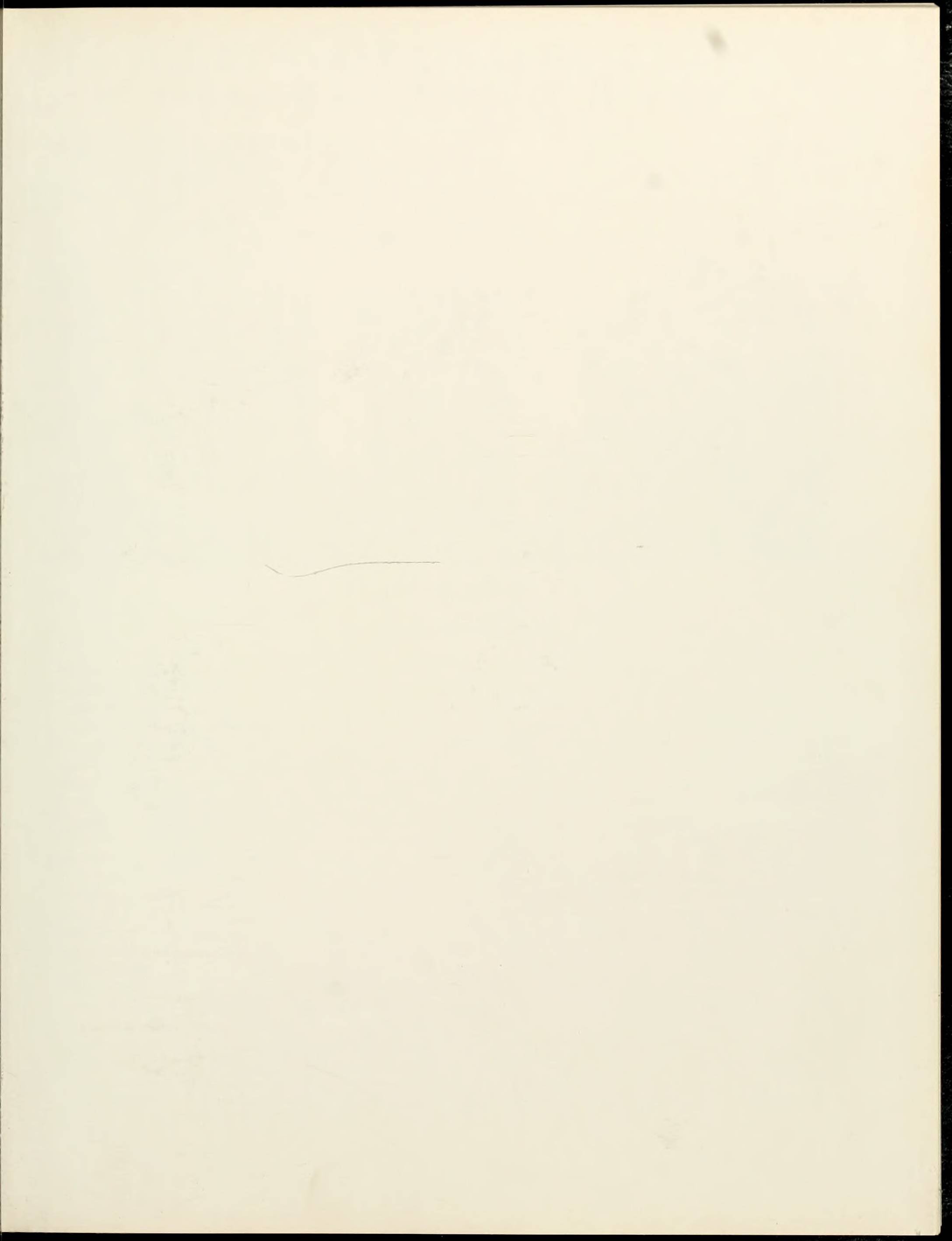 Bennett Belle [1993]