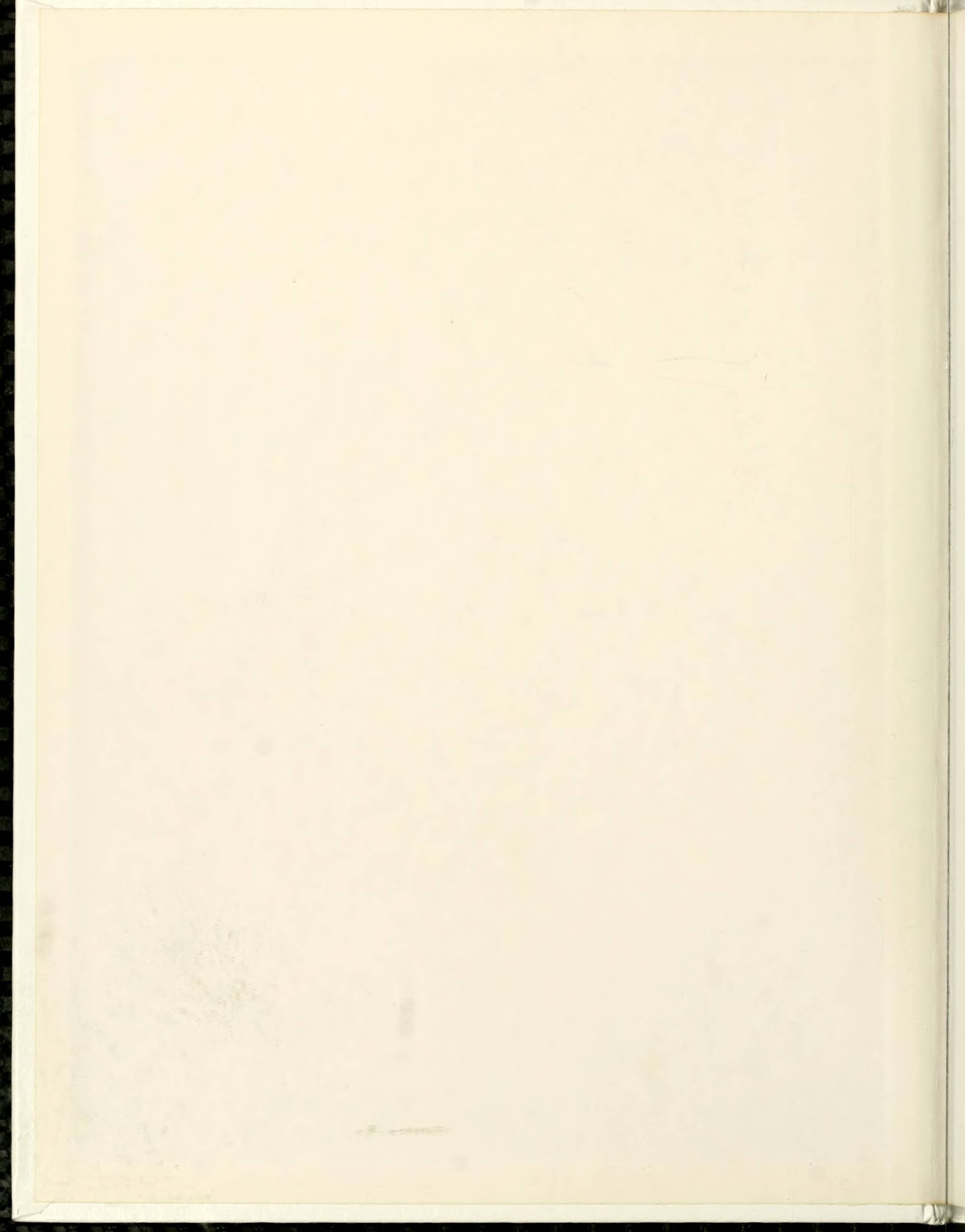 Bennett Belle [1992]