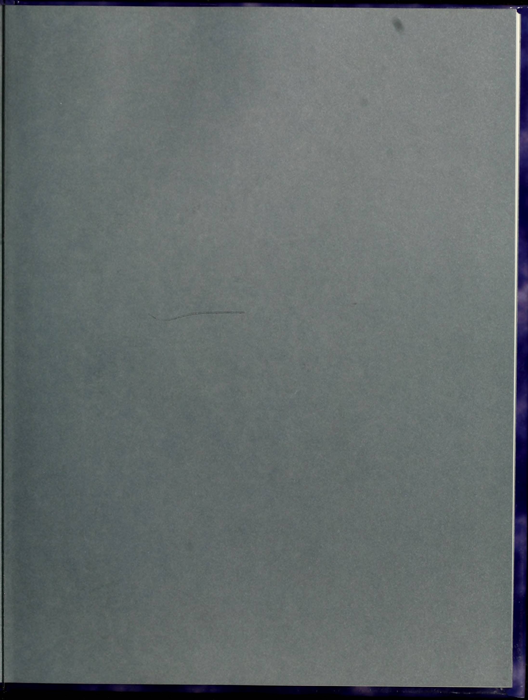 Bennett Belle [1995-1997]