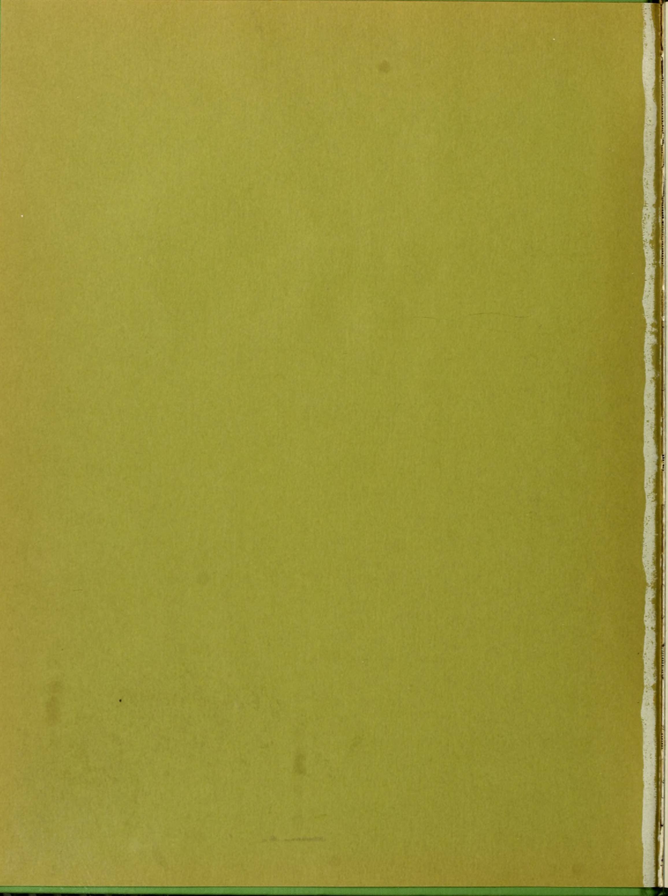 Bennett Belle [1974]