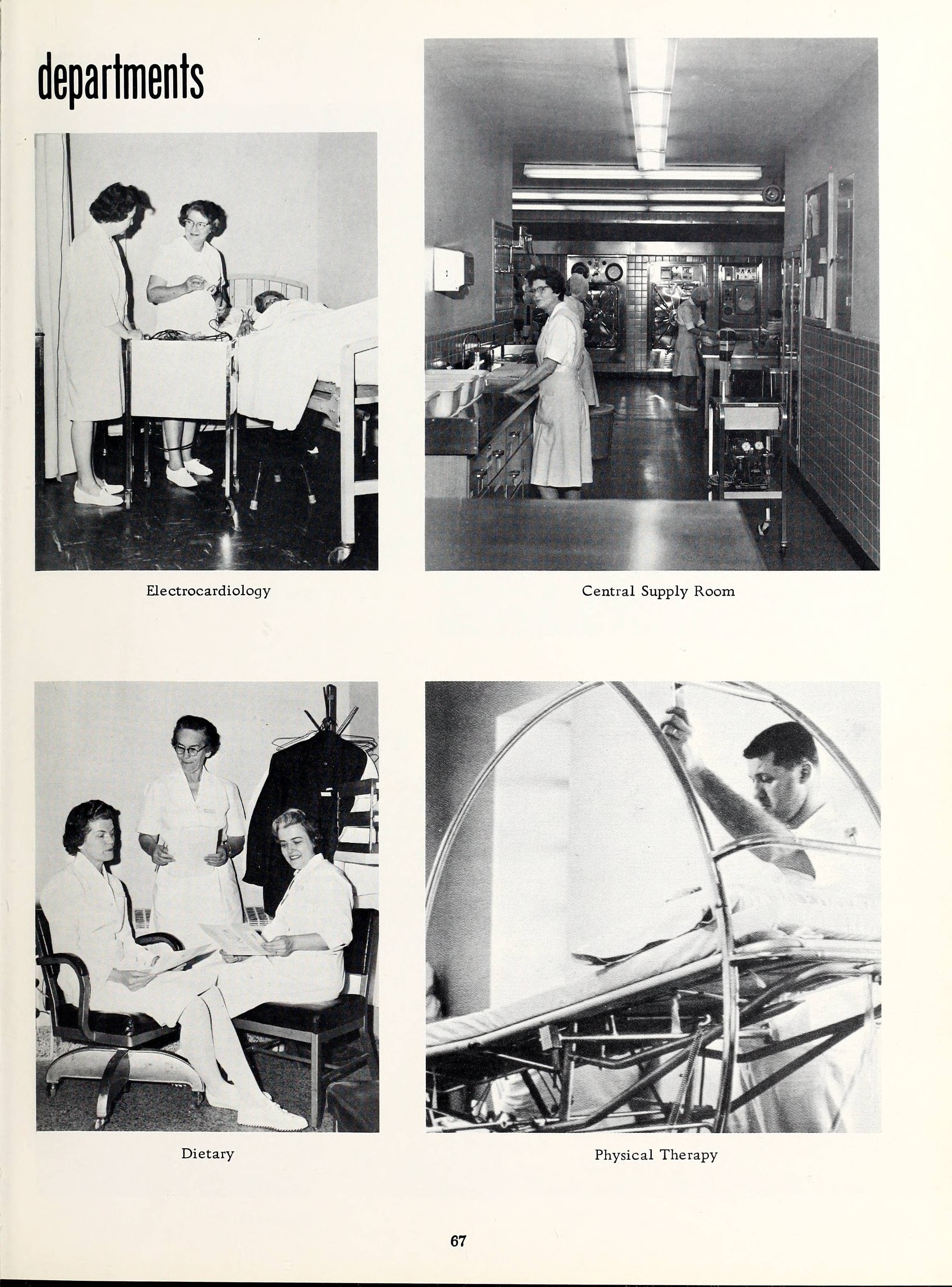 The Nightingale [1967]