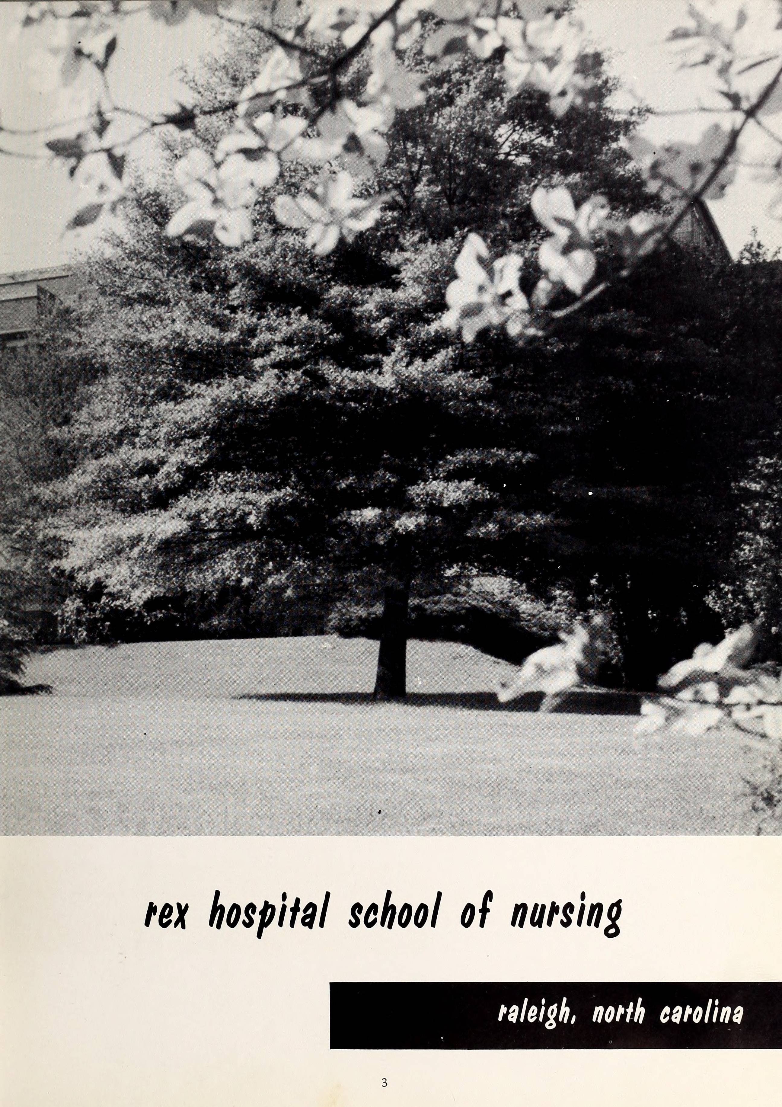 The Nightingale [1960]